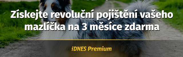 Podmínky pro vycestování se psem či kočkou jsou tři. Smysl má i ...