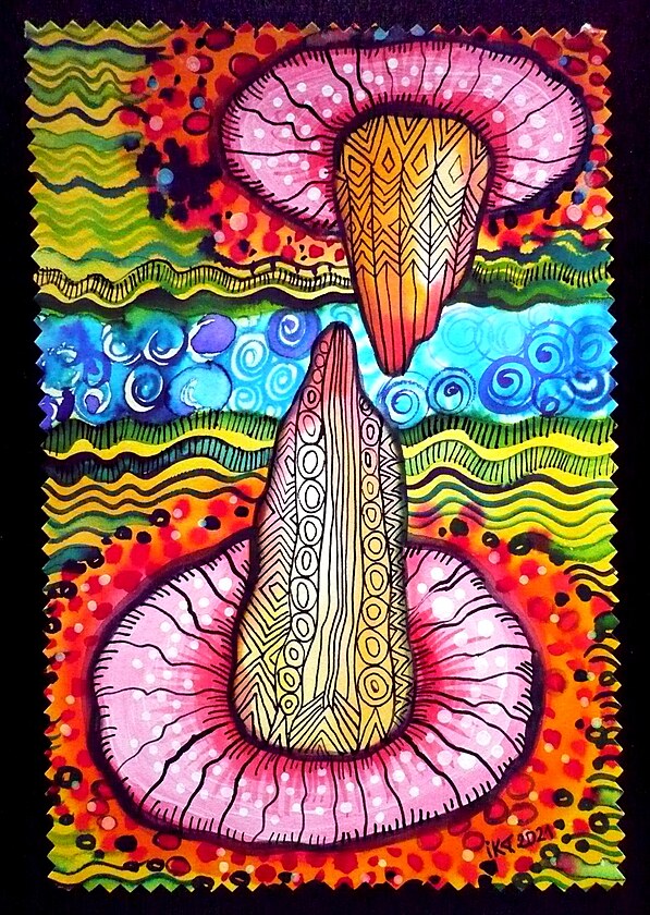 Dračice a jednorožci - Blog iDNES.cz