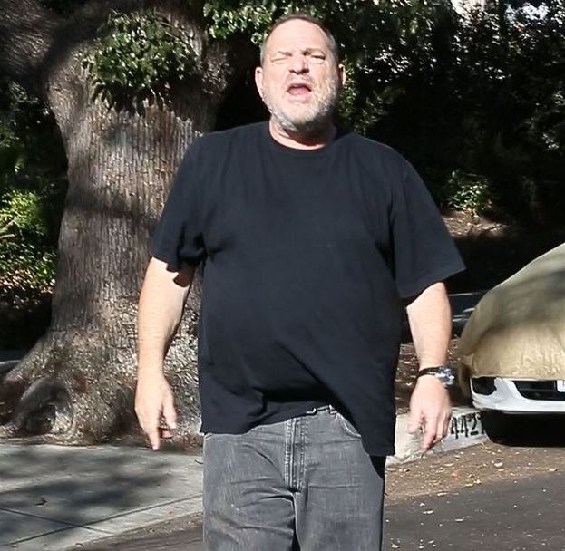 Brandon z Beverly Hills 90210 dal jednou Weinsteinovi pěstí - JenProMuze