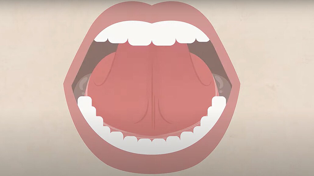 Stříkající sliny všude. Nový nechutný trend „Gleeking“ se šíří po ...