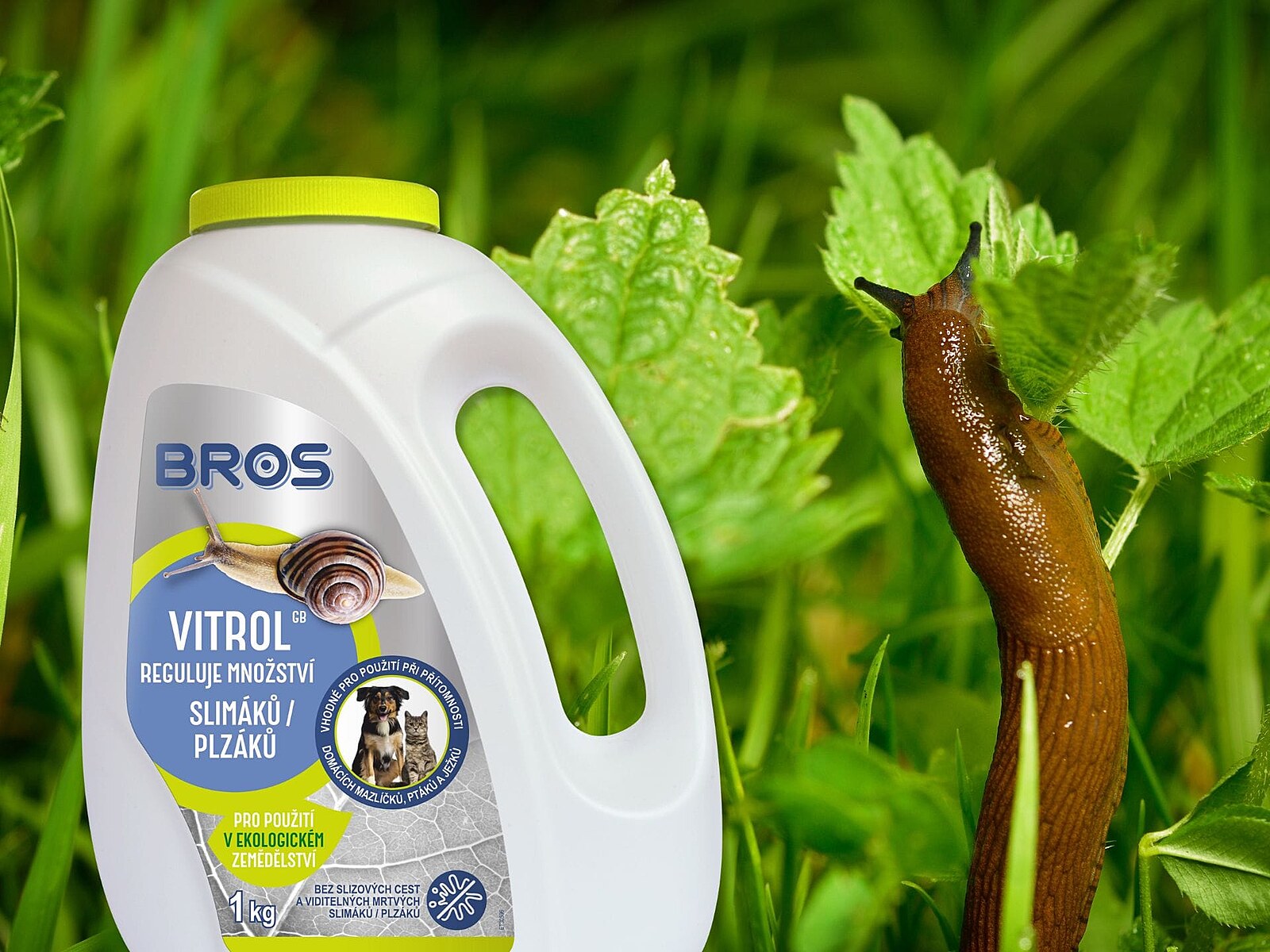 Vitrol: účinný přírodní prostředek proti slimákům - Expres.cz