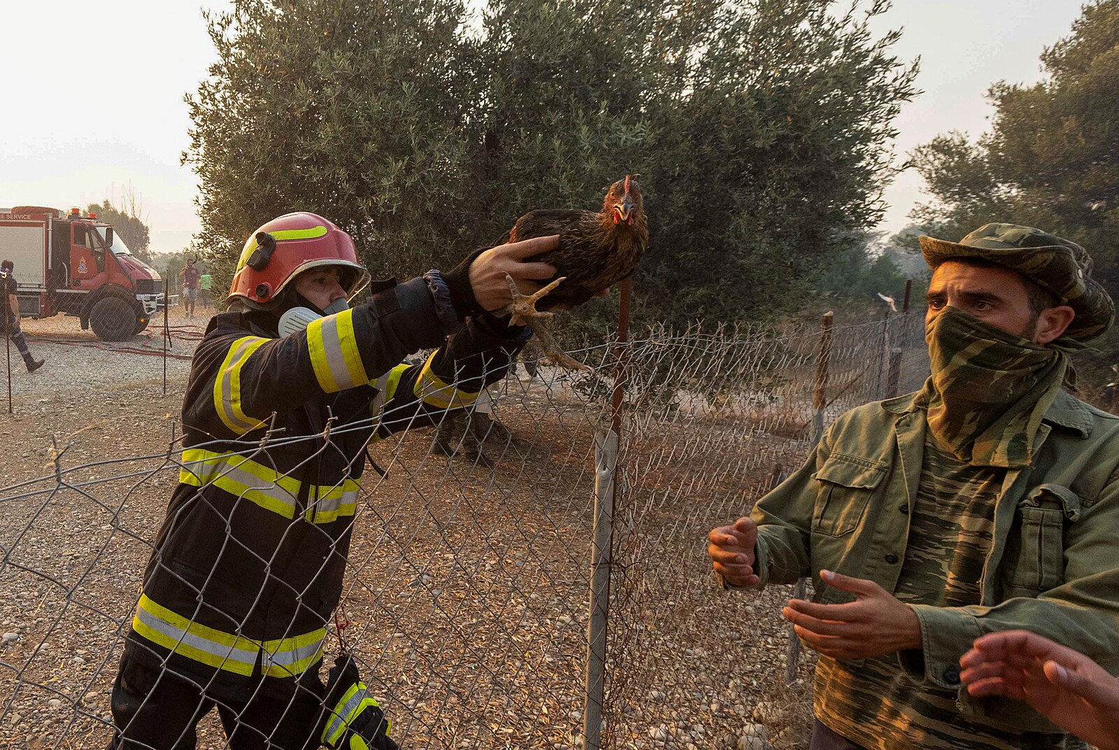Fotogalerie: Divoké požáry na ostrově Rhodos.