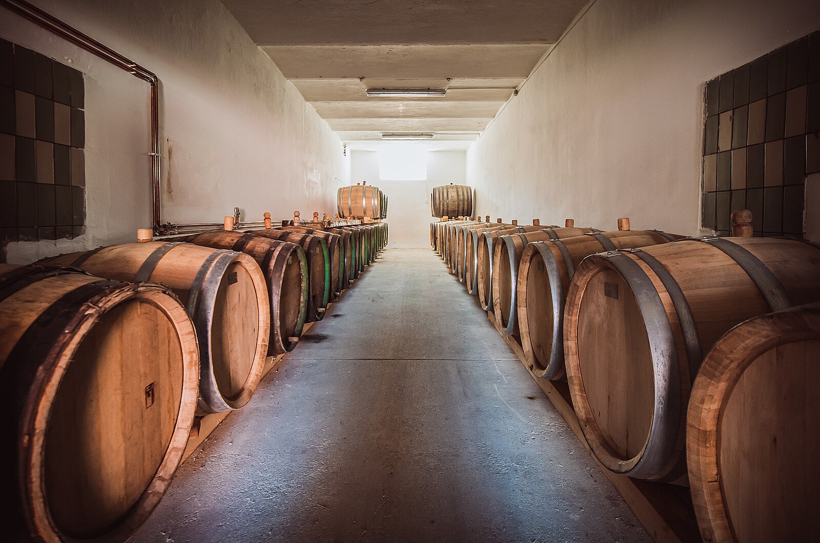 Baronka přichází s malinovou novinkou - JenProMuze