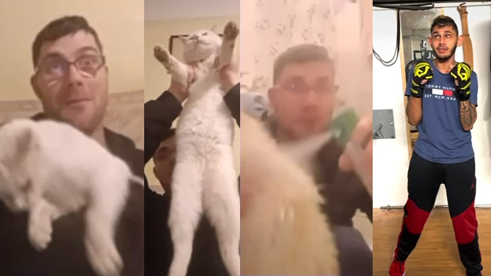 Týrá Matouš Kaluba svého kocoura? Postříkal ho sprejem na hmyz a zmáčkl ...