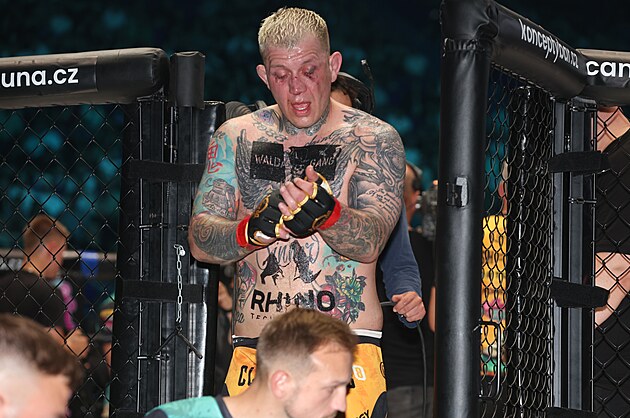 Fotogalerie: Václav Mikulášek na Playboy párty