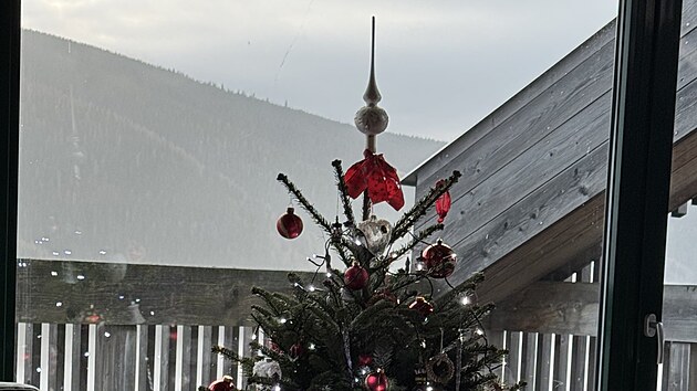 Slovník nejen TikToku: Sigma, rizz, skibidi - Expres.cz