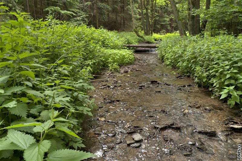 VIDEO: Přes brody Bílého potoka. Na kole kolem mlýnů a skvělých hospod ...