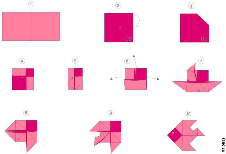 Fotogalerie: Postup, jak vytvořit origami z peněz