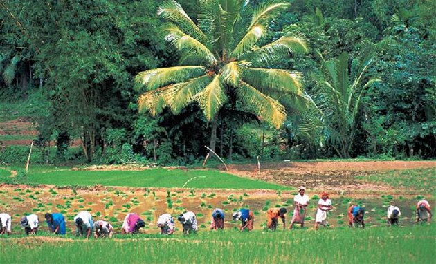 Definitivně končíme s názvem Cejlon, rozhodla šrílanská vláda - iDNES.cz