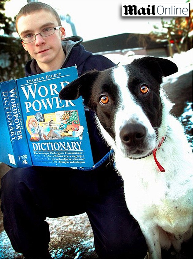 Pes rozuměl jen polsky. V britském útulku se naučil za měsíc anglicky ...