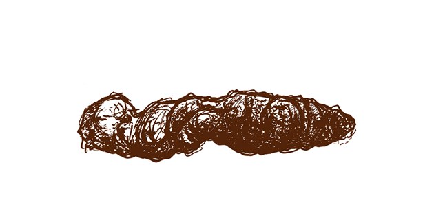 Kniha o h...ě zrovnoprávňuje exkrement jako literární téma - iDNES.cz