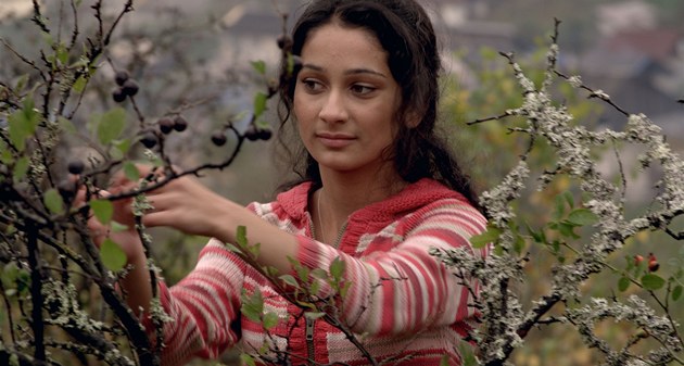 Film Cigán měl na Slovensku „luční“ premiéru, Romové se bavili - iDNES.cz