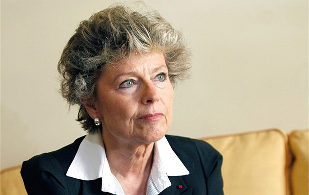 Zmocnil se mě s brutalitou vojáka, tvrdí o Strauss-Kahnovi Francouzka ...