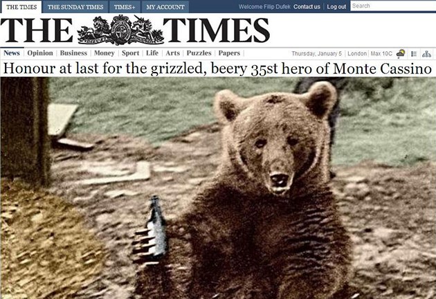 Medvěd Wojtek dostane pomník, salutoval a nosil munici bojovníkům s ...