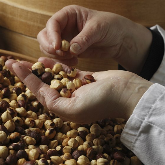 Lískových ořechů z Turecka se urodilo málo. Může za to počasí - iDNES.cz