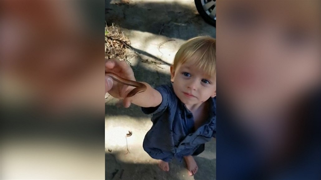 Nejmenší chytač hadů: roční chlapeček si hraje s krajtami delšími než ...