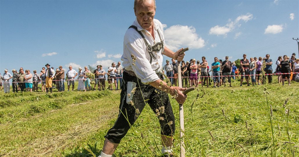 VIDEO: Nejrychlejší sekáč Česka pokosí stometrovou louku za čtyři ...