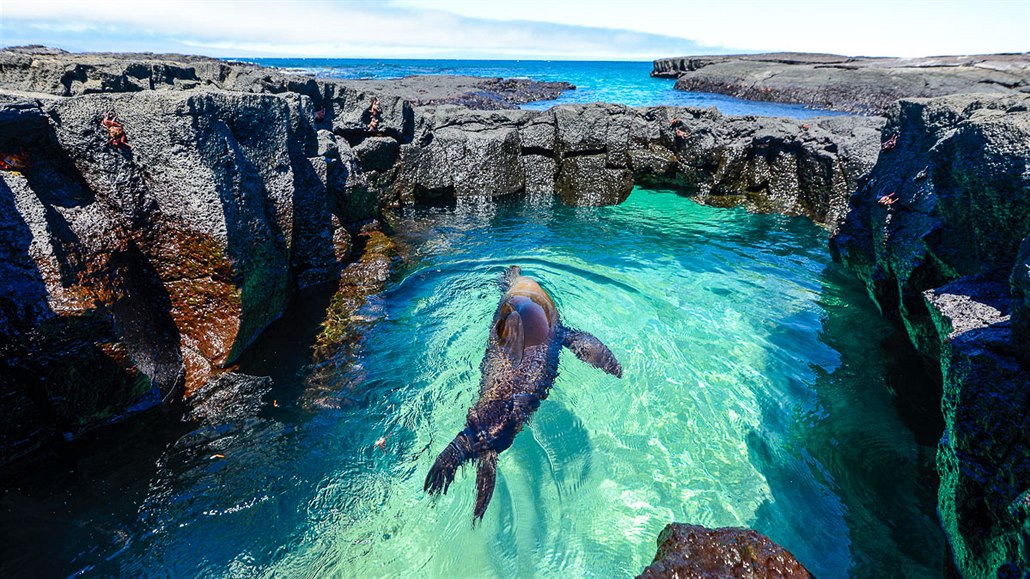 Další omezení kvůli turistům. Galapágy více návštěvníků nechtějí - iDNES.cz
