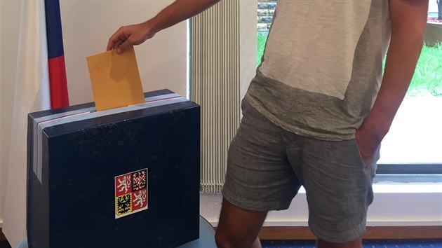 Prezidentské volby - Miloš Zeman obhájil mandát a zůstane na Hradě - Domácí