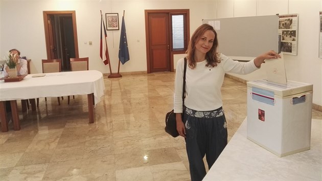 Prezidentské volby - Miloš Zeman obhájil mandát a zůstane na Hradě - Domácí