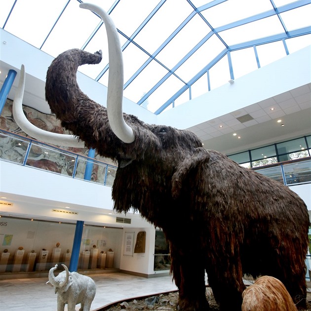 Vědci oživili buňky z vyhynulého mamuta, na Jurský park je však ještě ...