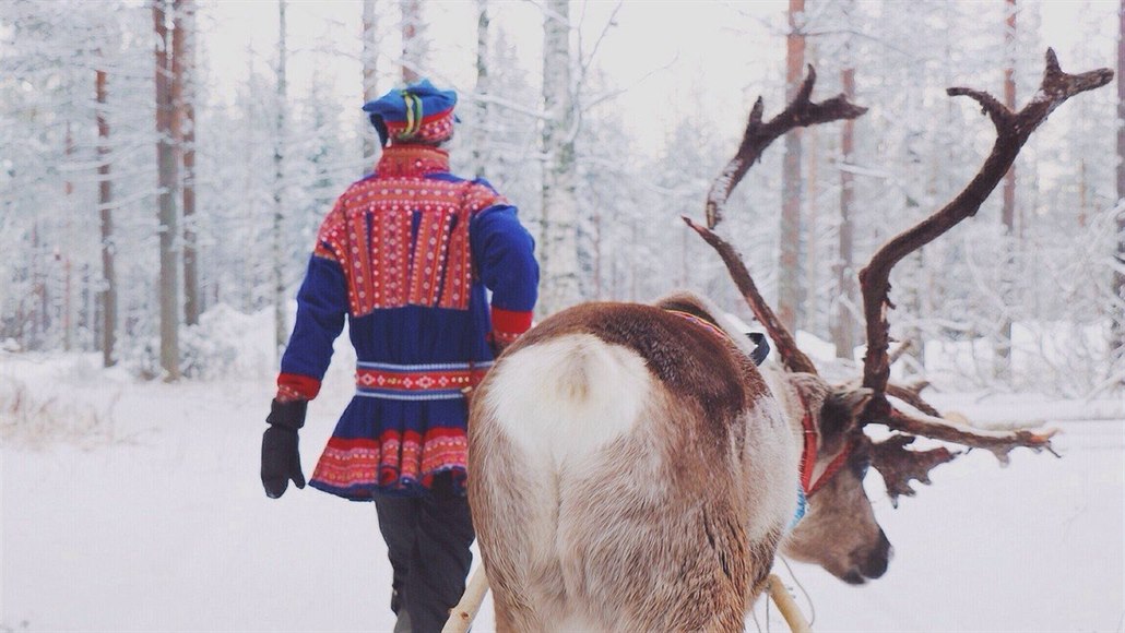 Sobi jsou naším stylem života, brání se Sámové norským kvótám na chov ...