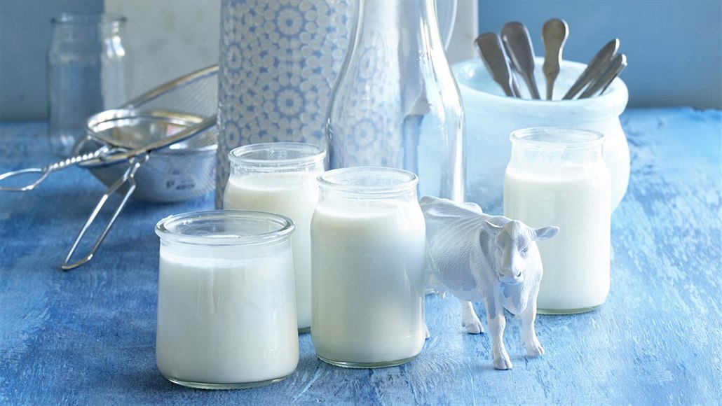 RECEPT DNE: Domácí jogurt - iDNES.cz