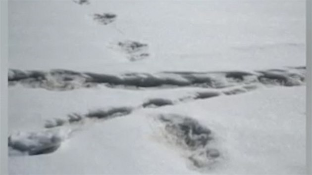 Indická armáda zveřejnila stopy yettiho, stala se terčem posměchu ...