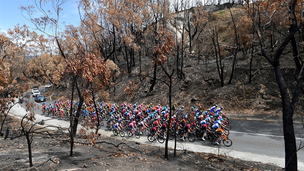 Ewan unikl karambolu a vyhrál druhou etapu Tour Down Under - iDNES.cz