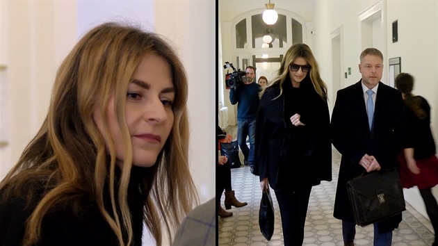 Byl Janoušek chronický alkoholik? K soudu přišla svědčit jeho manželka ...