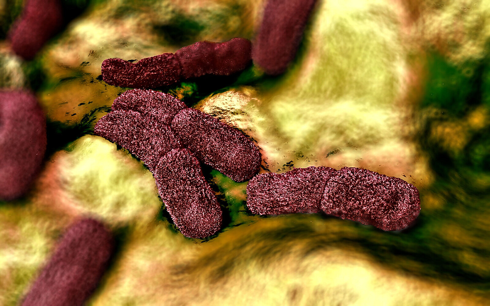 Středověkou epidemii moru mohly zavinit erupce sopek a změny klimatu ...
