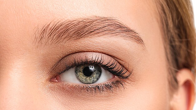 Vyzrajte na obočí. Manuál, jak ho vytvarovat i čím ho dobarvit - iDNES.cz