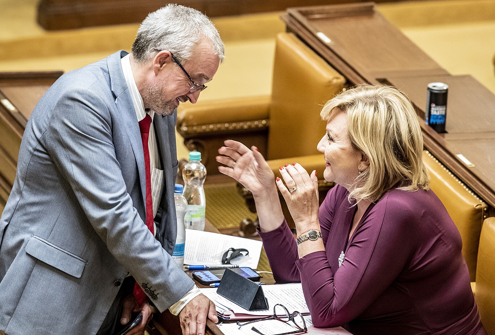Do obstrukčního pekla cválá nová sněmovna na morálním koni | Názory ...