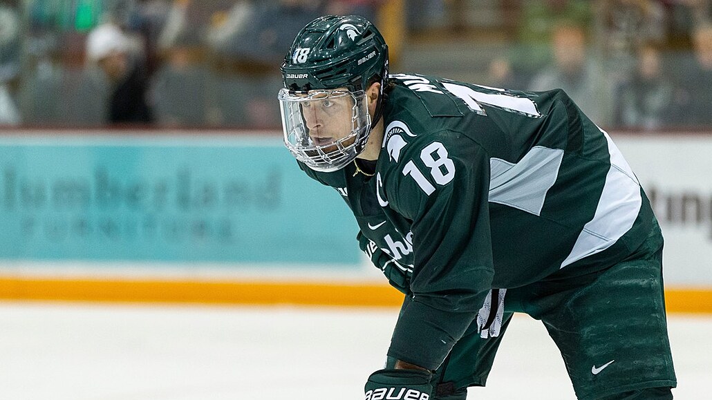 Hokejový Liberec má šestou posilu, ze zámoří přišel útočník Mucha ...