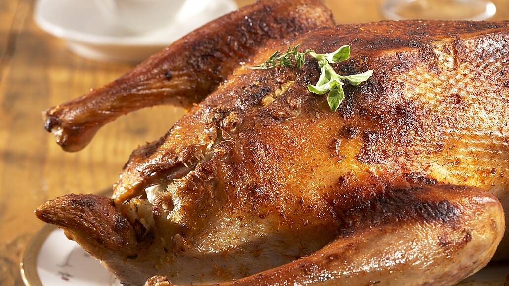 Husa s nádivkou – Recepty iDNES.cz