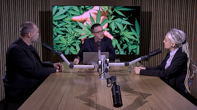 Michailidu chystá legalizaci konopí. Amsterdam z Prahy mít nechci ...