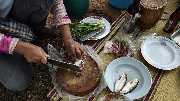 Koi pla je tradiční asijský salát. Zabíjí efektivněji než biologické ...