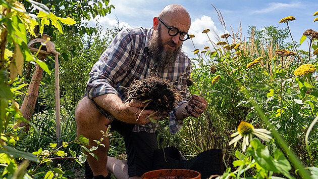 Podzimní dělení. Způsob, jak trvalky udržet v kondici a získat sazenice ...