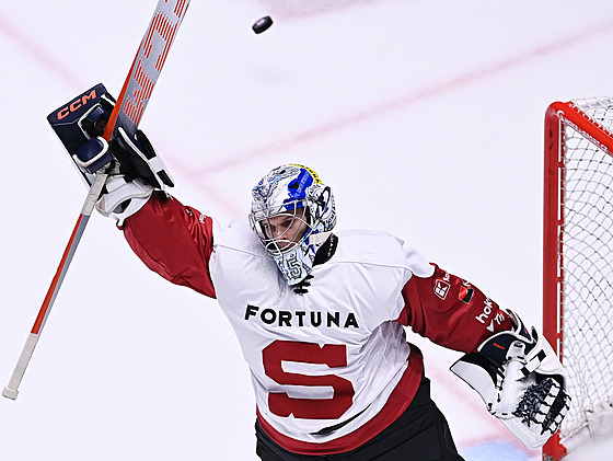 Ani se nezapotil. Přesto hrdina Michaljlov vychytal vítězství v Třinci ...