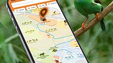 Bez fronty u pokladen a fyzické mapy. Zkusili jsme novou aplikaci ...