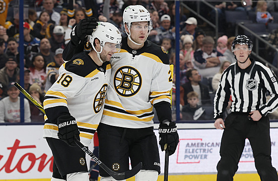 NHL ožila osmi zápasy. Kämpf, Palát a Zacha se zapsali mezi střelce ...