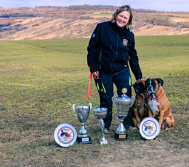 Dřív plnili příkazy, teď pracují za odměnu, říká kynoložka. Ze psů dělá ...