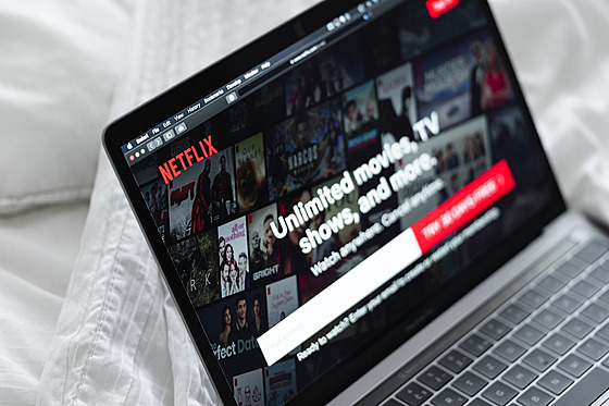 Netflix ceník: Jak si vybrat správné předplatné? - iDNES.cz