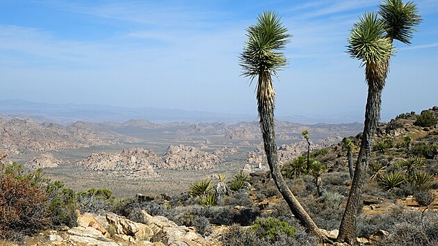 Národní park Joshua Tree proslavilo album kapely U2 - iDNES.cz