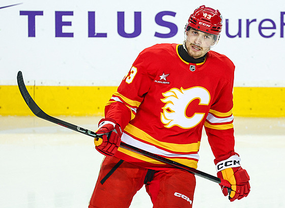 Z NHL posílí českou reprezentaci i Adam Klapka - iDNES.cz