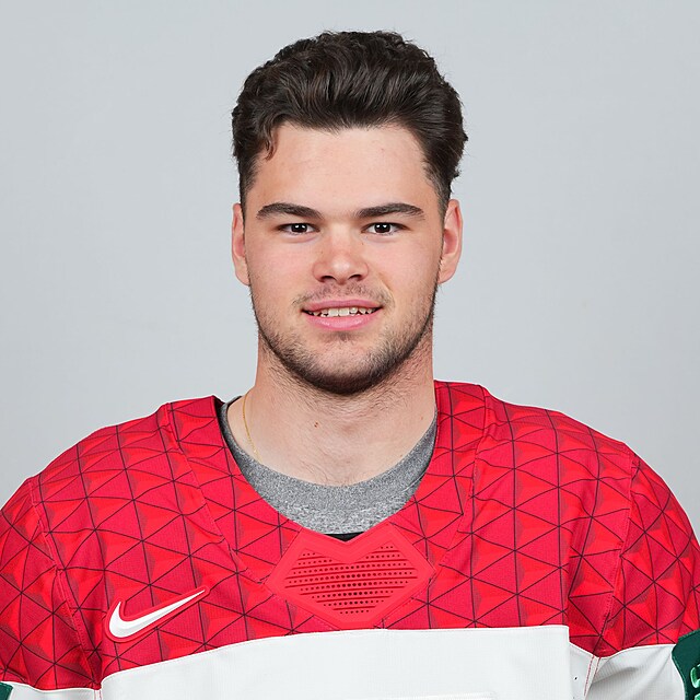 David Špaček - Hokej - iDNES.cz