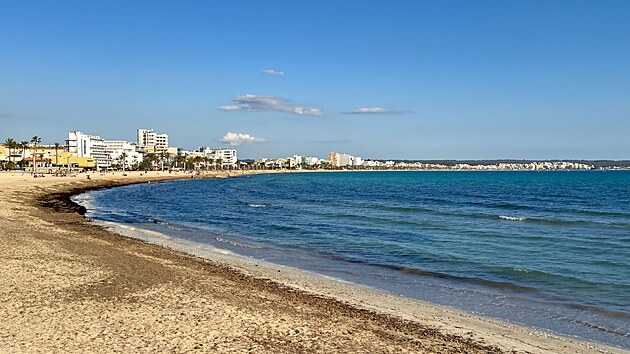 Divoká ryba na Palma Beach vytrhla ženě kus kůže z nohy - iDNES.cz
