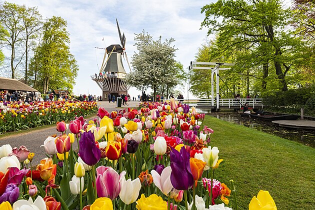 Jak přežít Amsterdam. Vyhněte se turistickým pastem a nejděte s davem