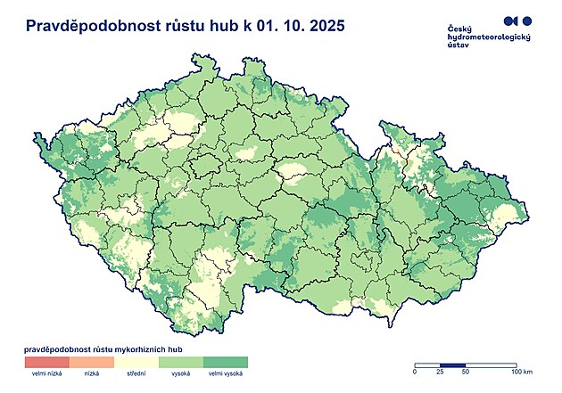 Kde rostou houby v roce 2025? Aktuální mapa růstu - iDNES.cz