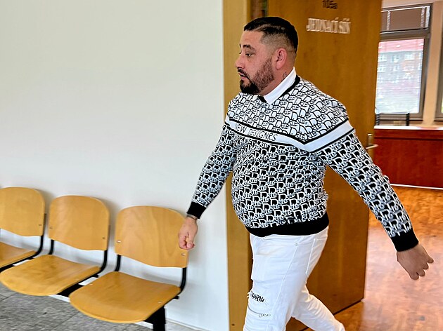 Vězení za napadení na koupališti v Dubí. Soudce kritizoval procesní chyby